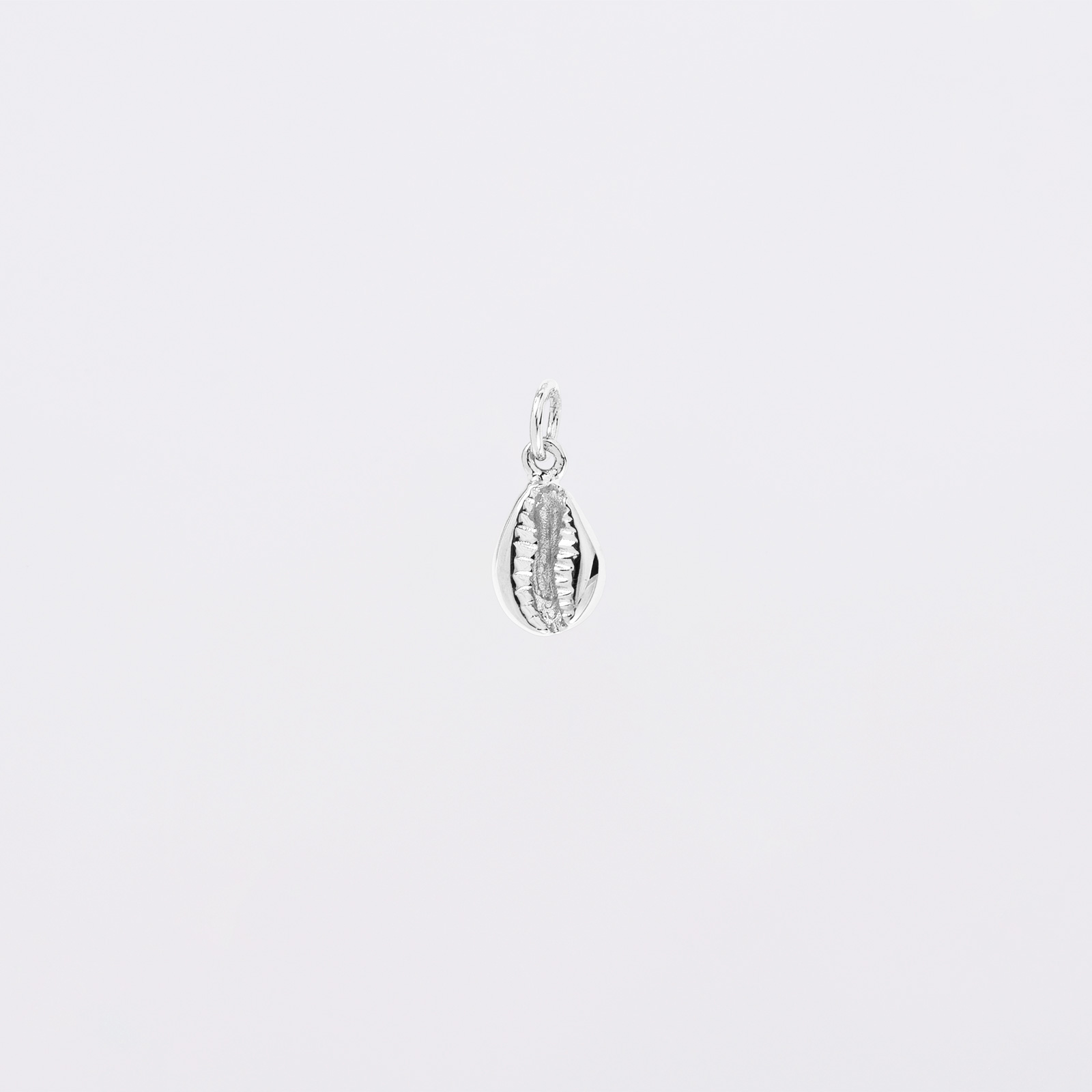 Charm plata concha cauri 10 mm | HappyBulle